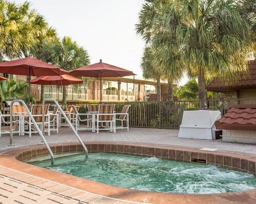 Magic Tree Resort | RedWeek