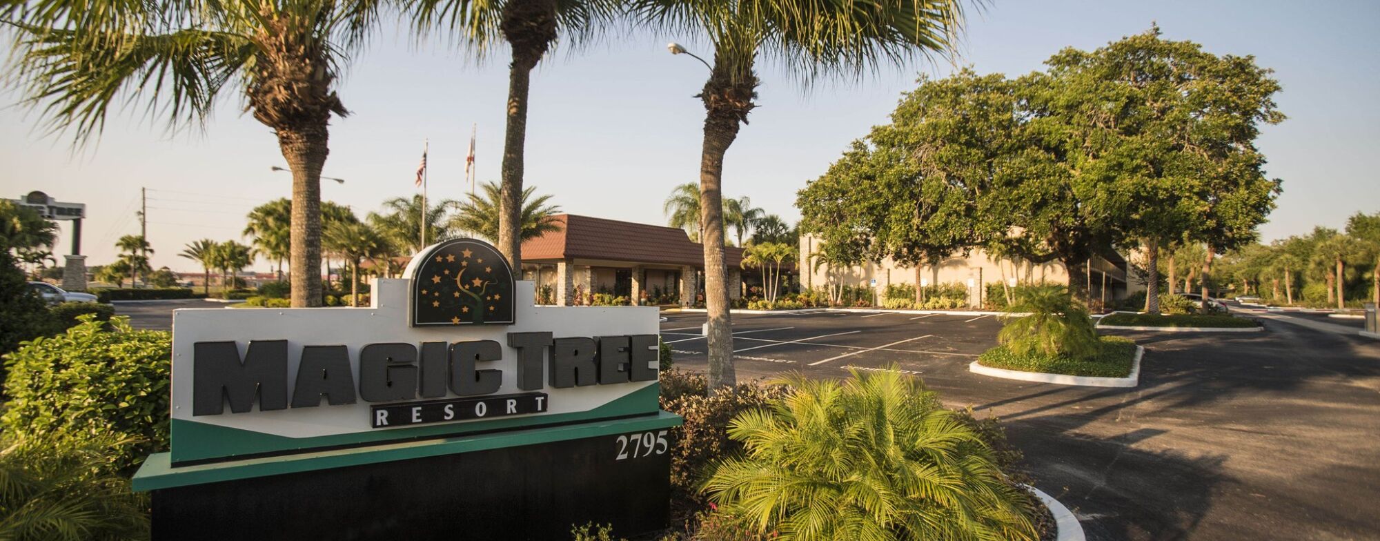 Magic Tree Resort | RedWeek